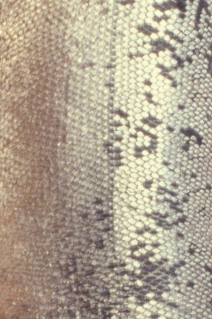 Supplements with Magnesium bisglycinate – be levels