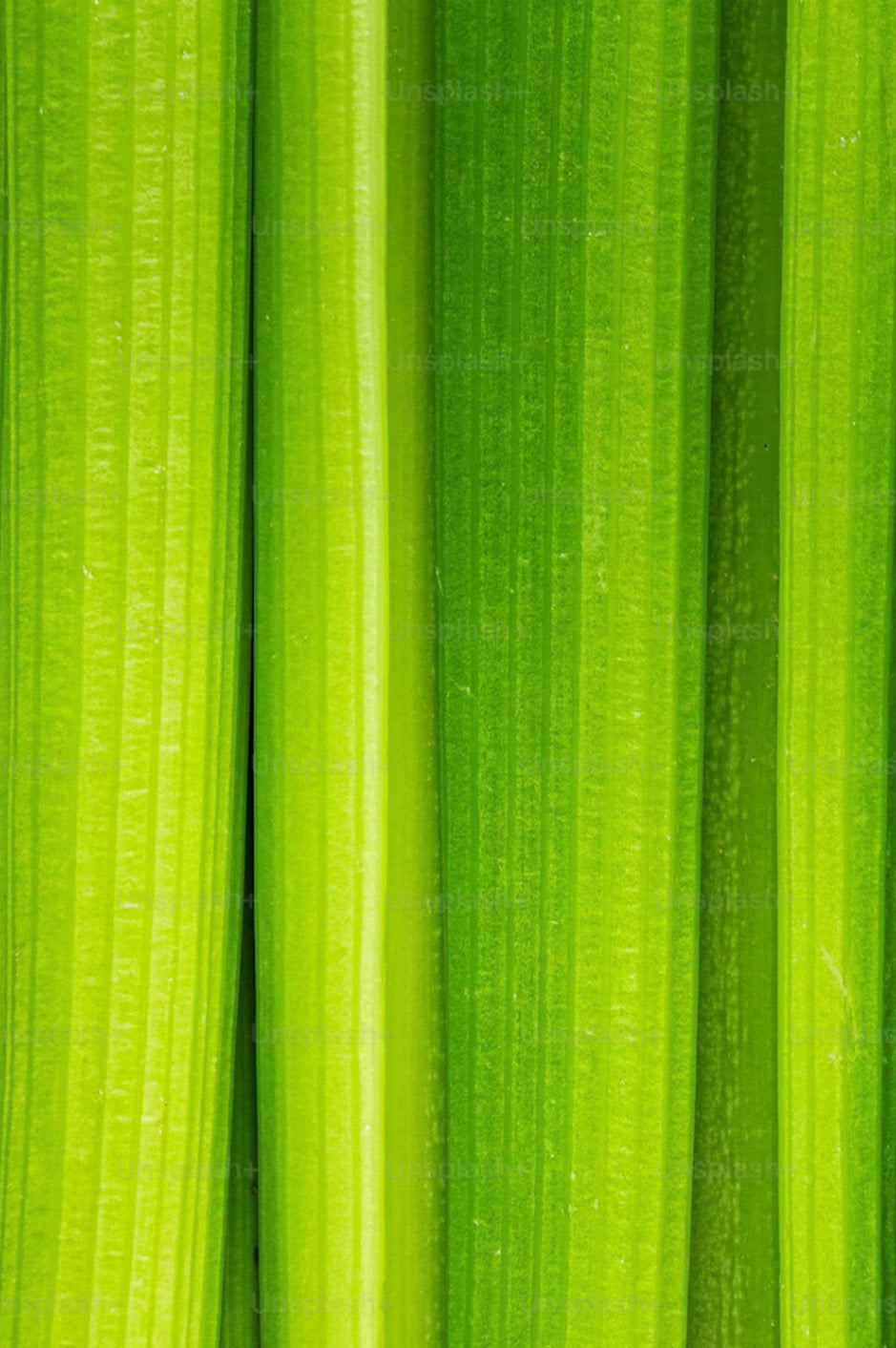 Digestive multi-enzyme complex – be levels