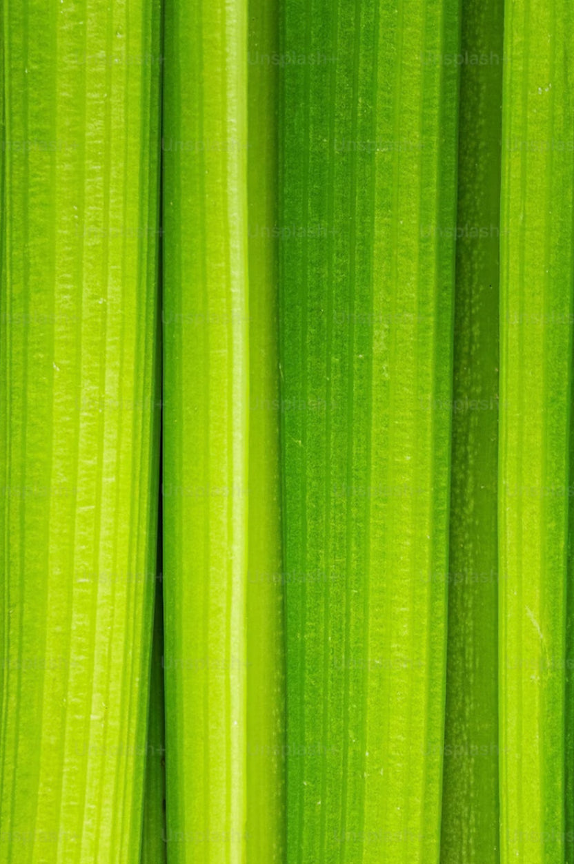 Digestive multi-enzyme complex – be levels